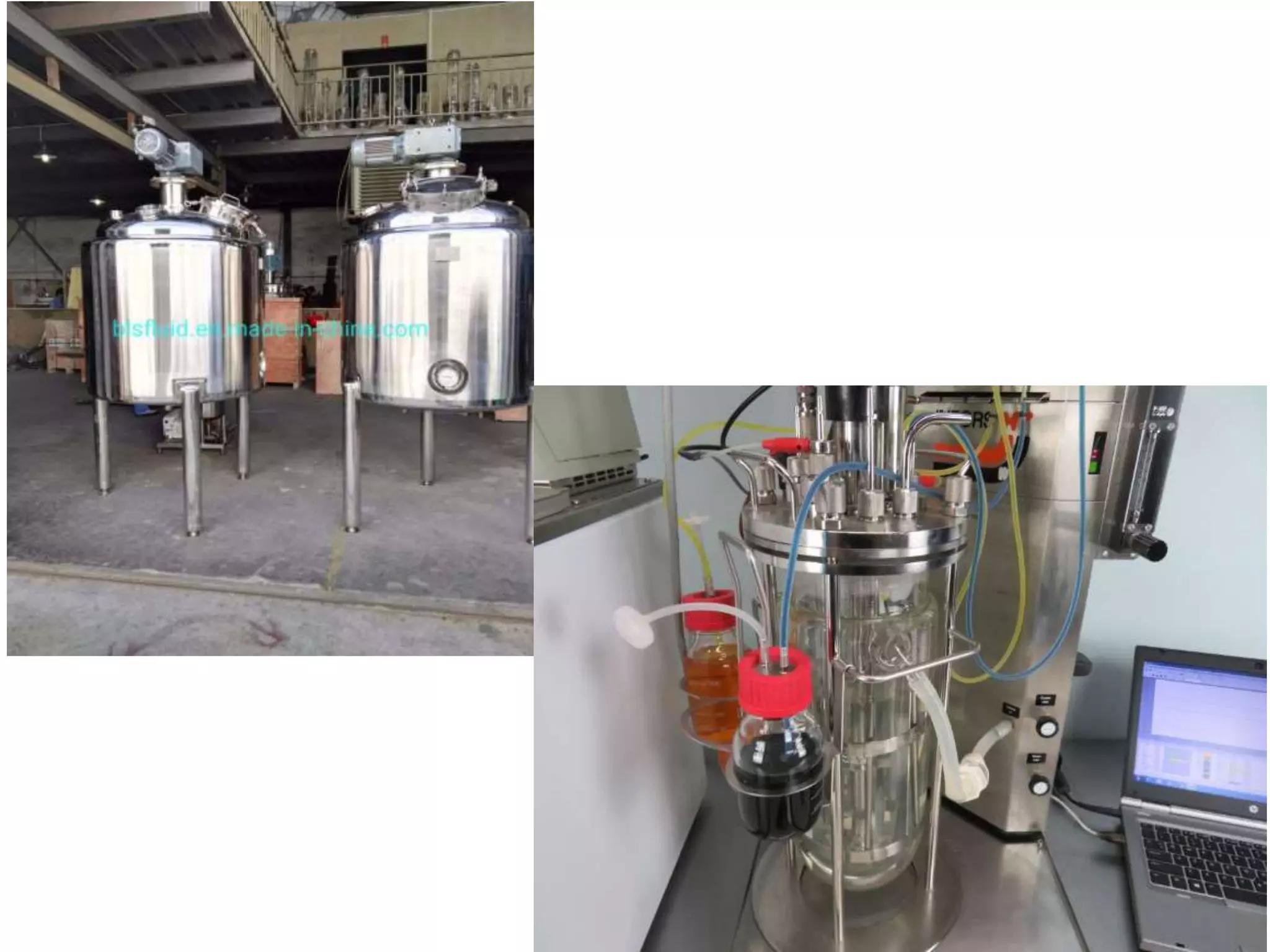 Fermentor | PPTX