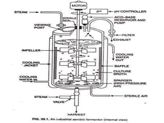 Fermenter Ppt Fermentor Column Bioreactor Section Cross Bubble Jet ...
