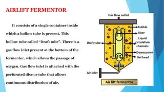 FERMENTOR (1)-2.pptx
