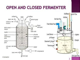 Difference Between Bioreactor And Fermentor, 44% OFF