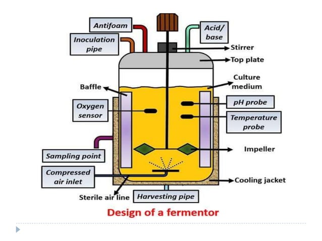 FERMENTORS AND BIO REACTORS BIO ENERGY TECHNOLOGY | PPTX | Chemistry ...