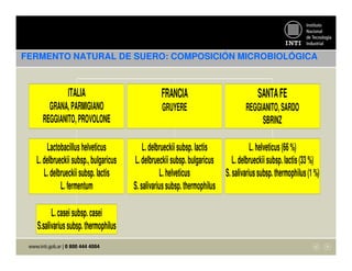 Fermentos lacticos | PDF