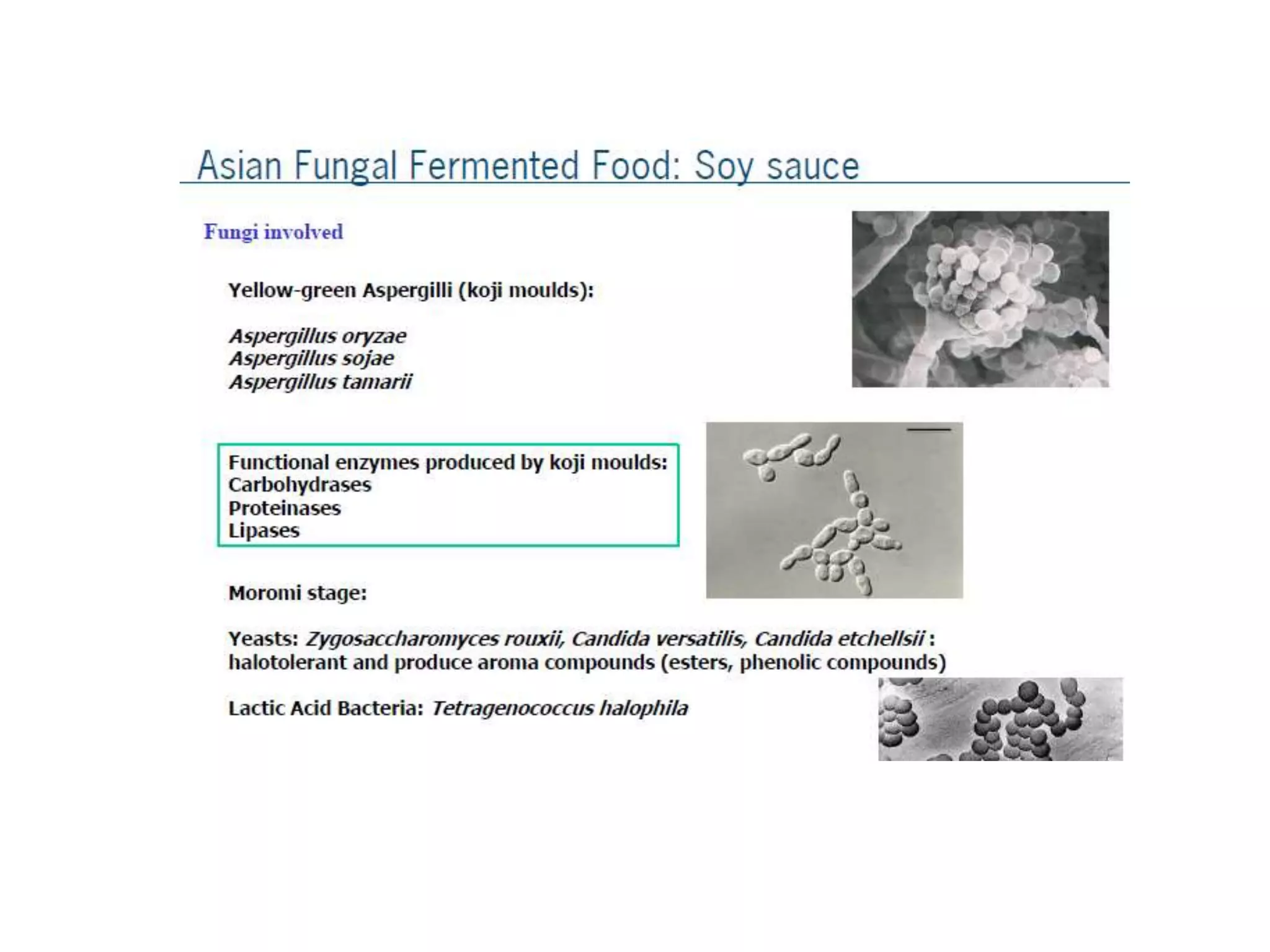 Fermentation types for Food Products | PPTX
