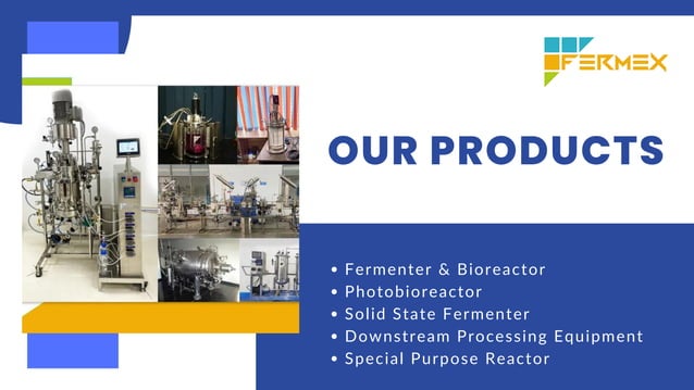 Fermex Product.pdf | Food & Drink