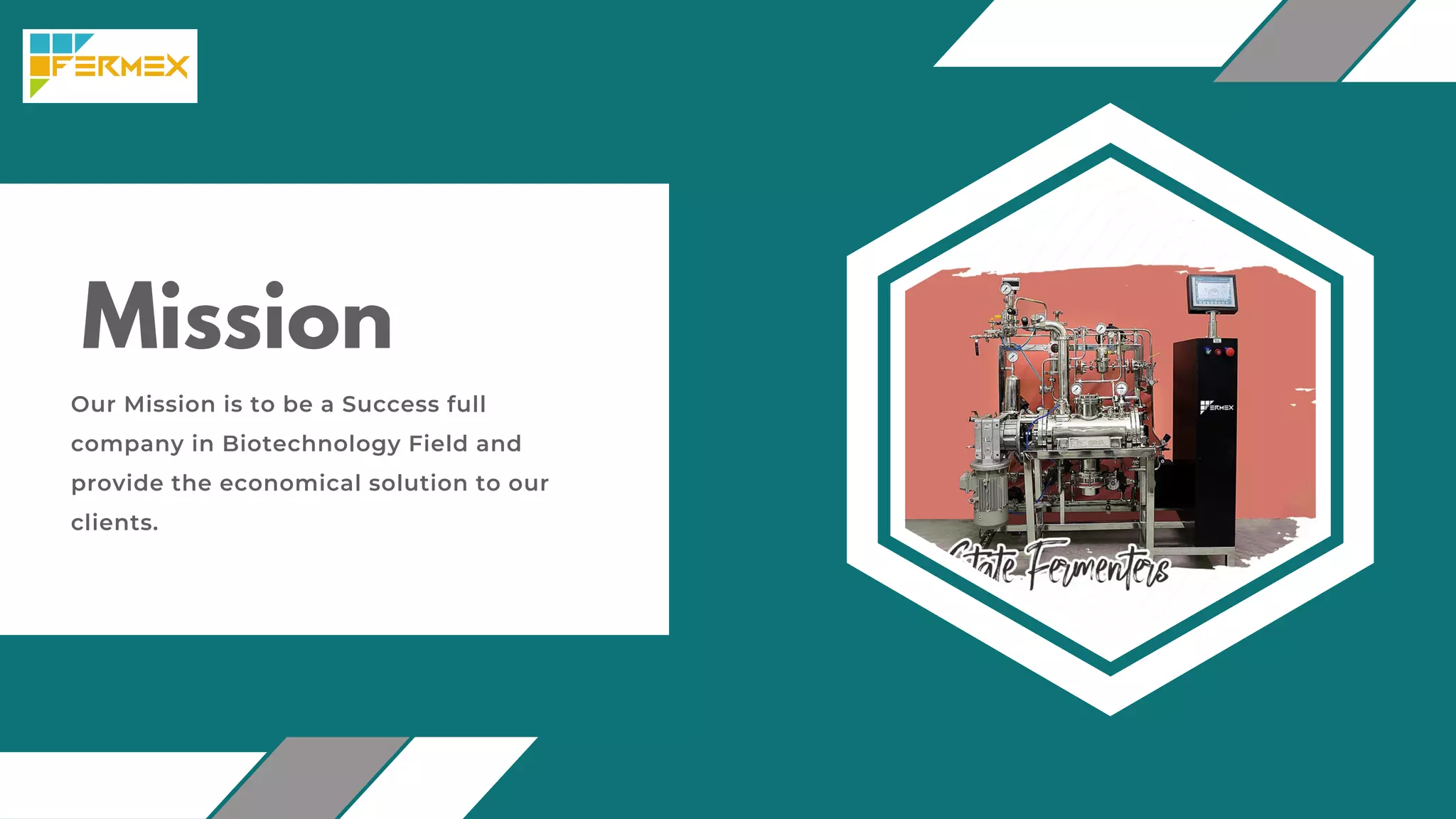 Fermex Solution llp (1).pdf