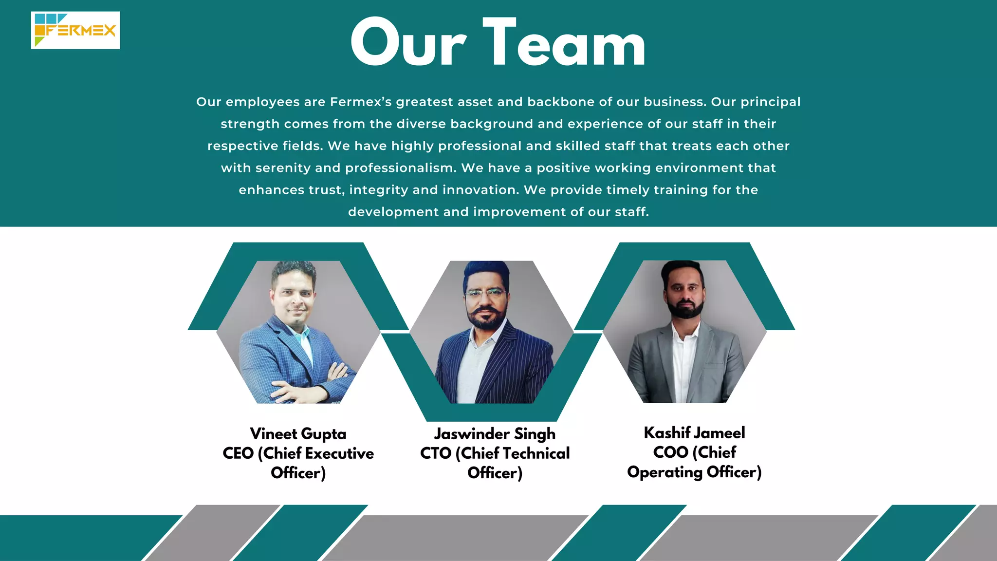 Fermex Solution llp (1).pdf