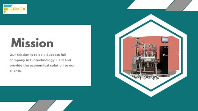 Fermex Solution llp (1).pdf