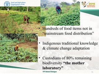 Indigenous food systems | PPT