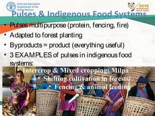 Indigenous food systems | PPT