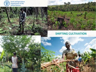 Indigenous food systems | PPT