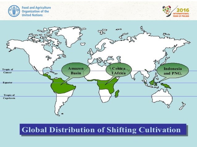 Indigenous food systems | PPT | Food Movements | Food & Drink