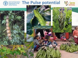 Indigenous food systems | PPT