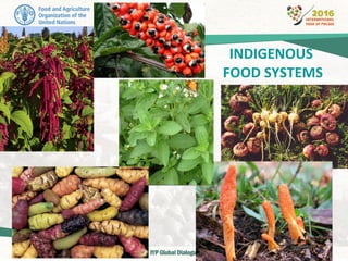 Indigenous food systems | PPT