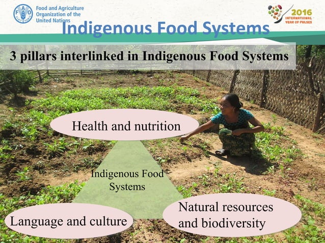 Indigenous food systems | PPT | Food Movements | Food & Drink