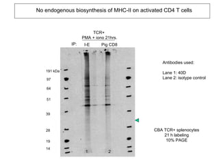 Fernandez 102408 | PPT