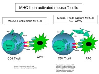 Fernandez 102408 | PPT