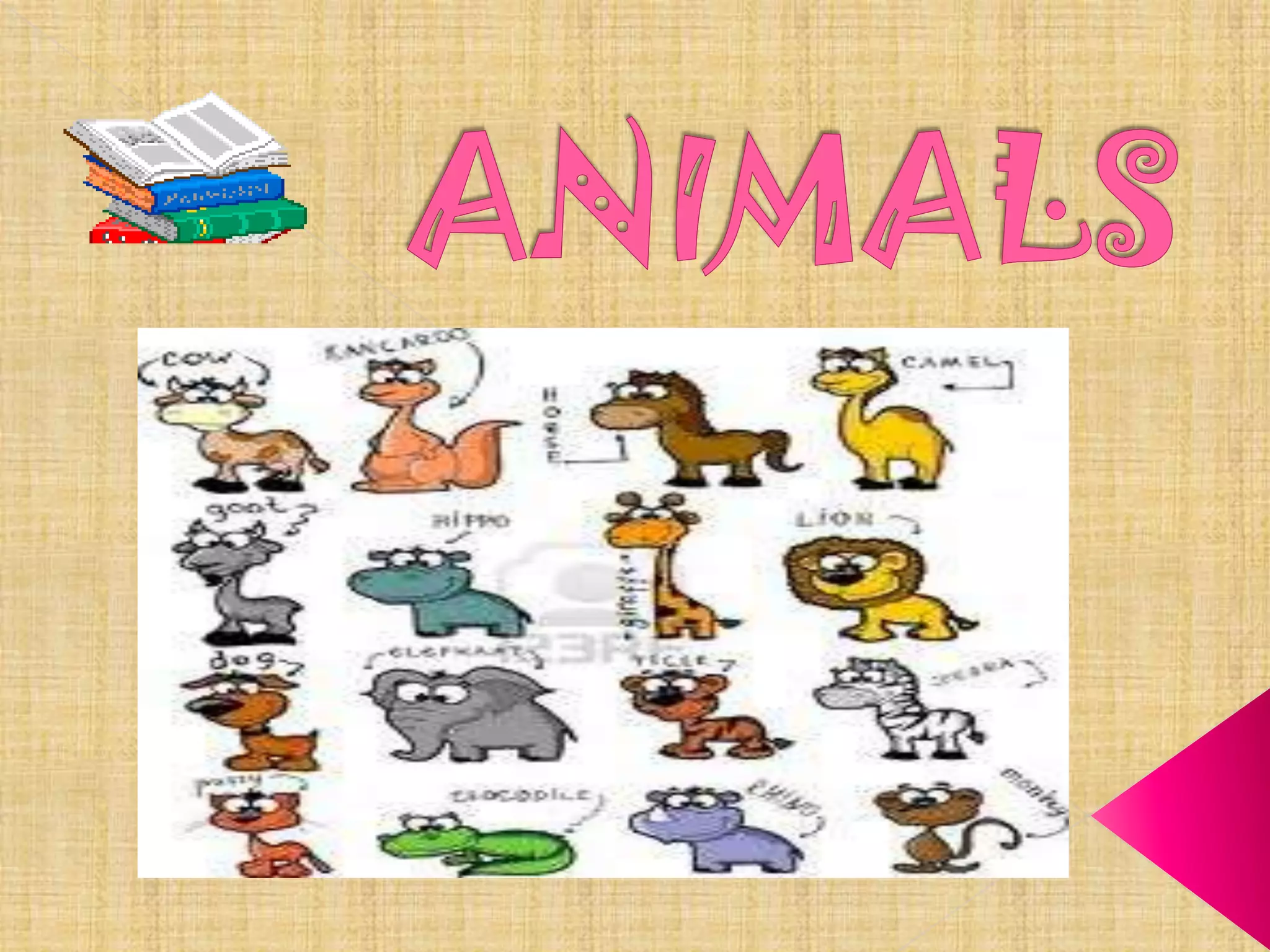 Fernandez, veronica | PPTX