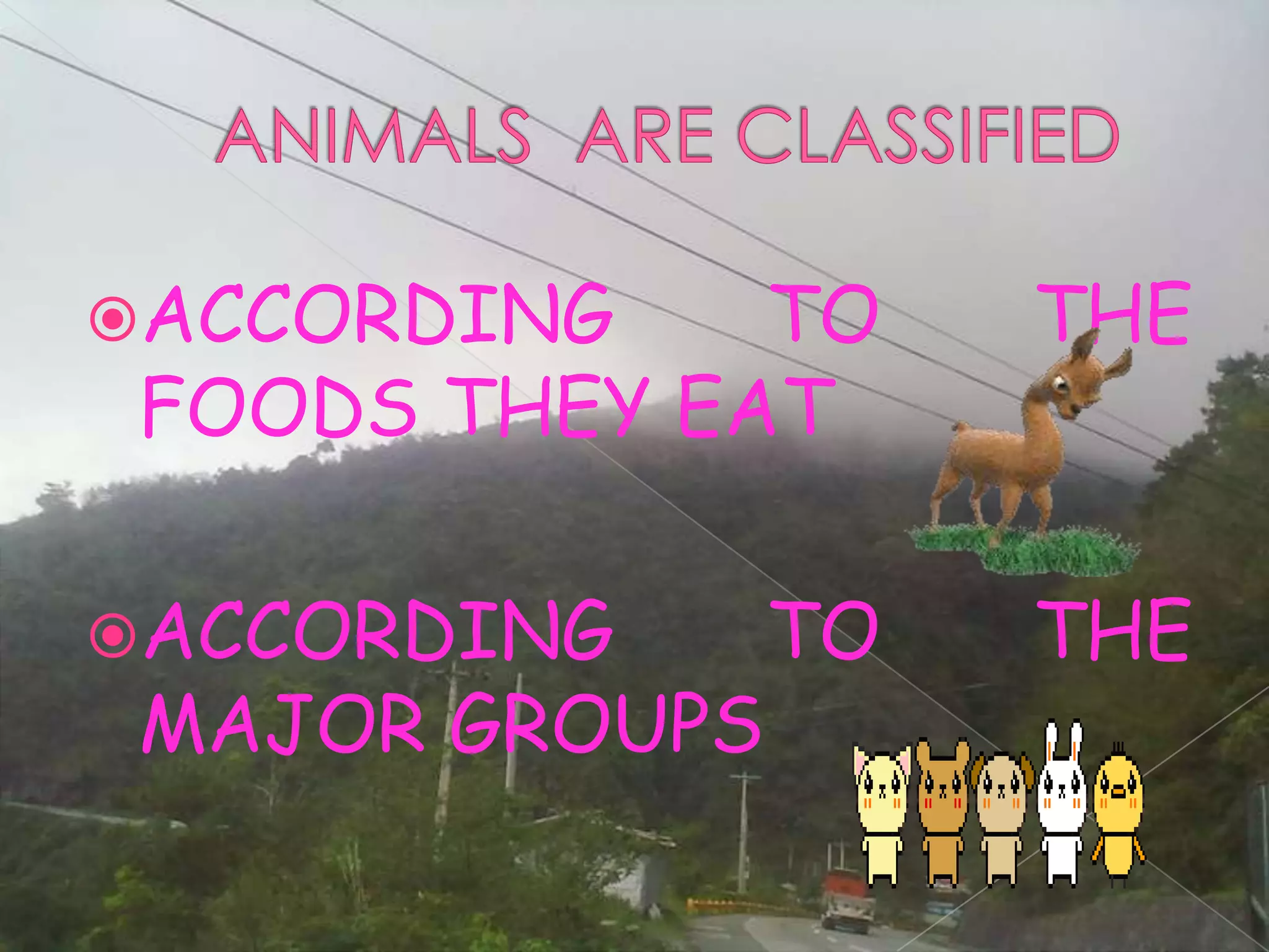 Fernandez, veronica | PPTX