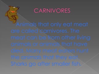 Fernandez, veronica | PPTX