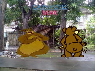 Fernandez, veronica | PPTX