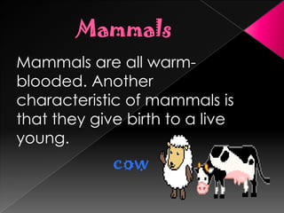 Fernandez, veronica | PPTX