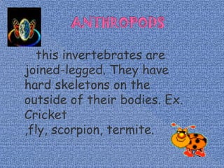 Fernandez, veronica | PPTX