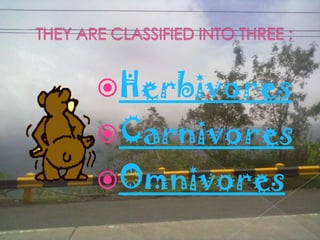 Fernandez, veronica | PPTX