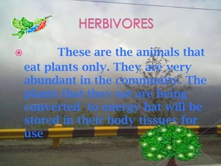 Fernandez, veronica | PPTX