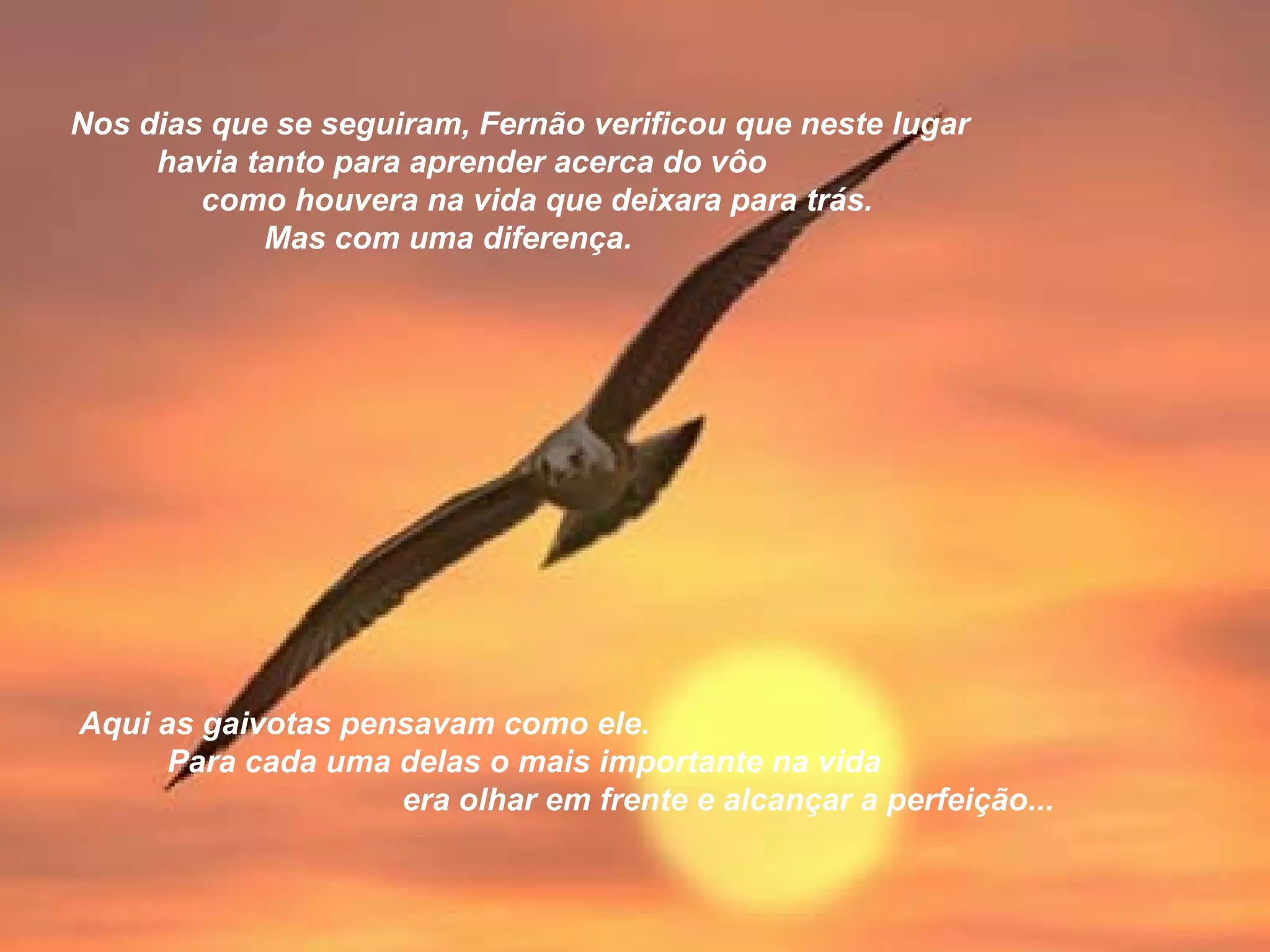 Fernão capelo gaivota | PPT