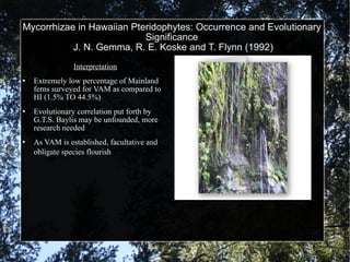 Fern presentation | PPT