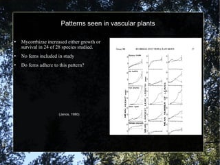 Fern presentation | PPT