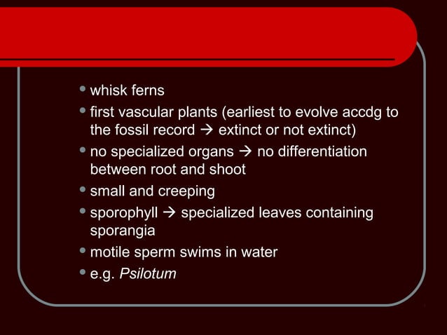 Ferns & fern allies | PPT