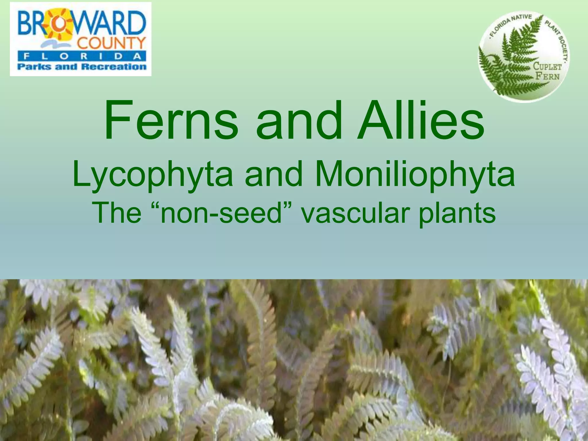 Ferns & Spore Bearing Plants for FNPS 7-8-22.pptx