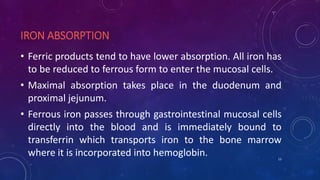 Ferrous Bisglycinate (FeroSan syp/tab) | PPTX