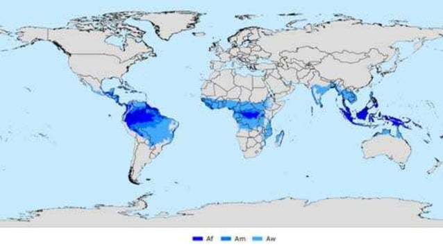 Koppen Climate Classification | PPTX