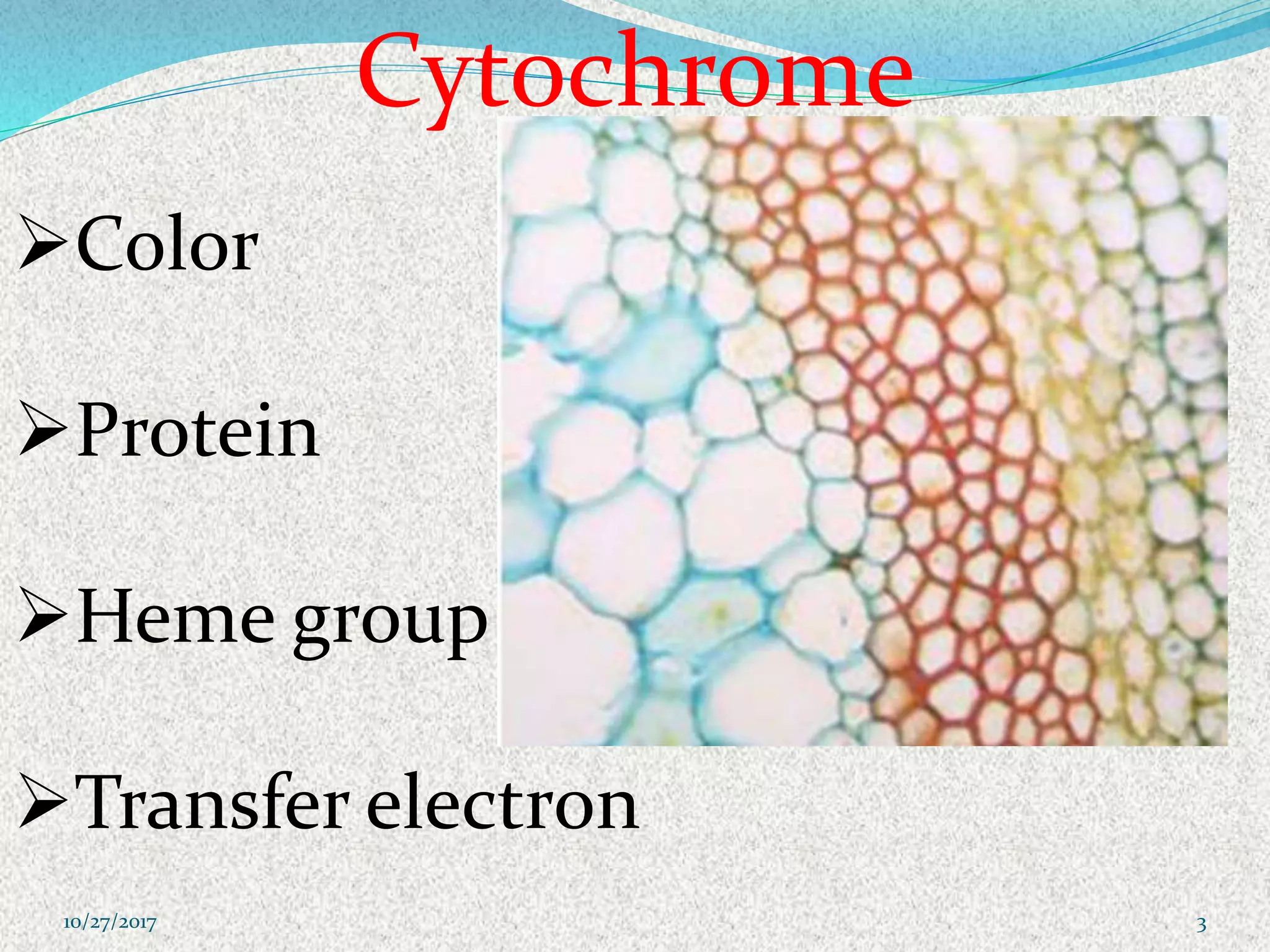 cytochrome | PPTX