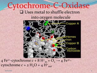 cytochrome | PPTX