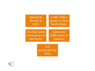 Ferrero Mini Case Study | PPT
