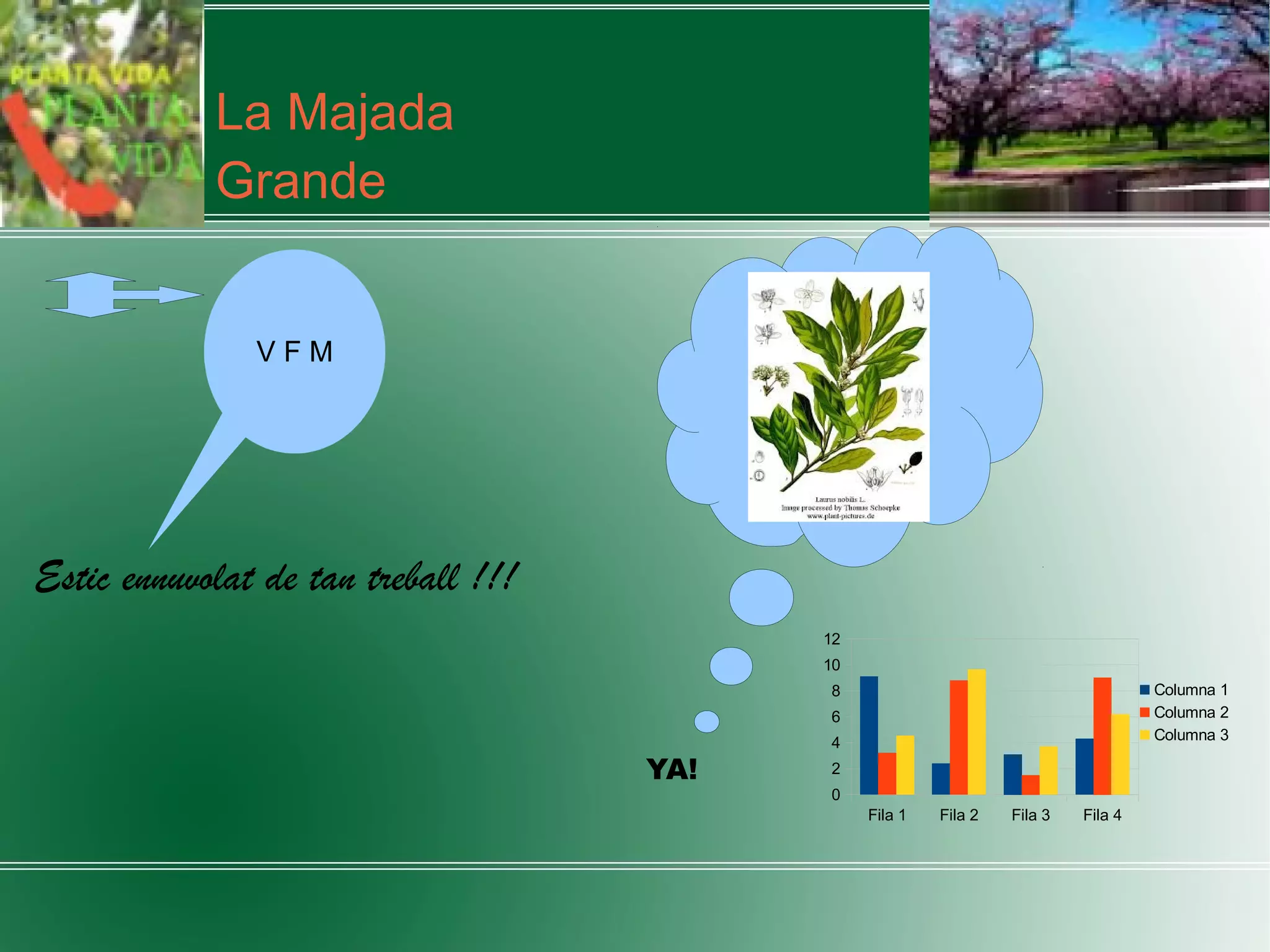Ferrero v presentacio_competic2 | ODP