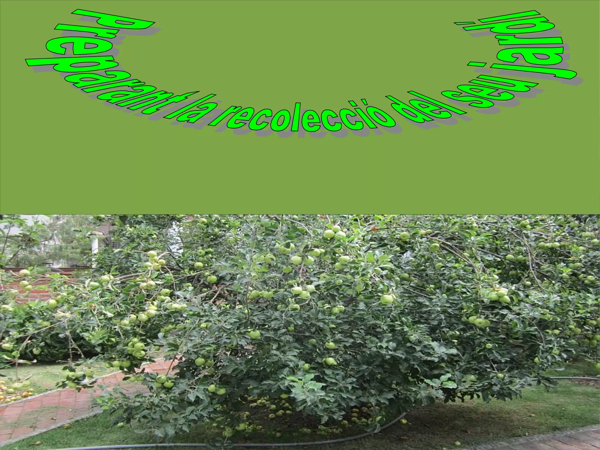 Ferrero v presentacio_competic2 | ODP