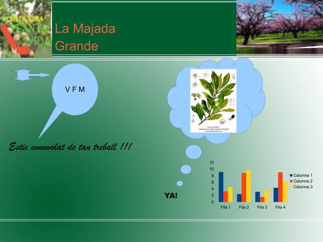 Ferrero v presentacio_competic2 | ODP