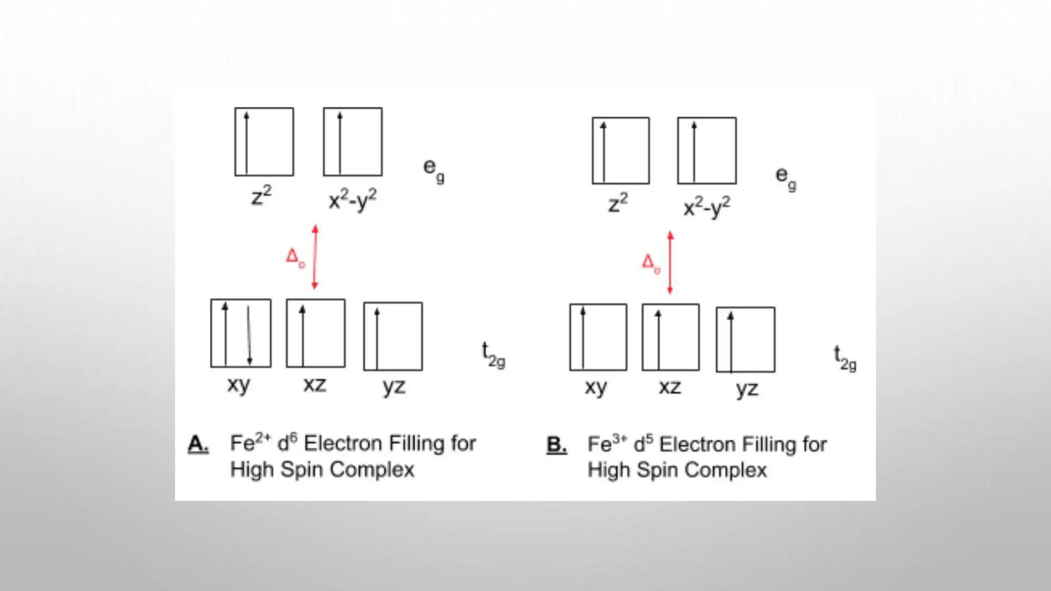 Ferretin bio inorganic iron sulphur protein notes.pptx