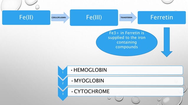Ferretin bio inorganic iron sulphur protein notes.pptx | Blood ...