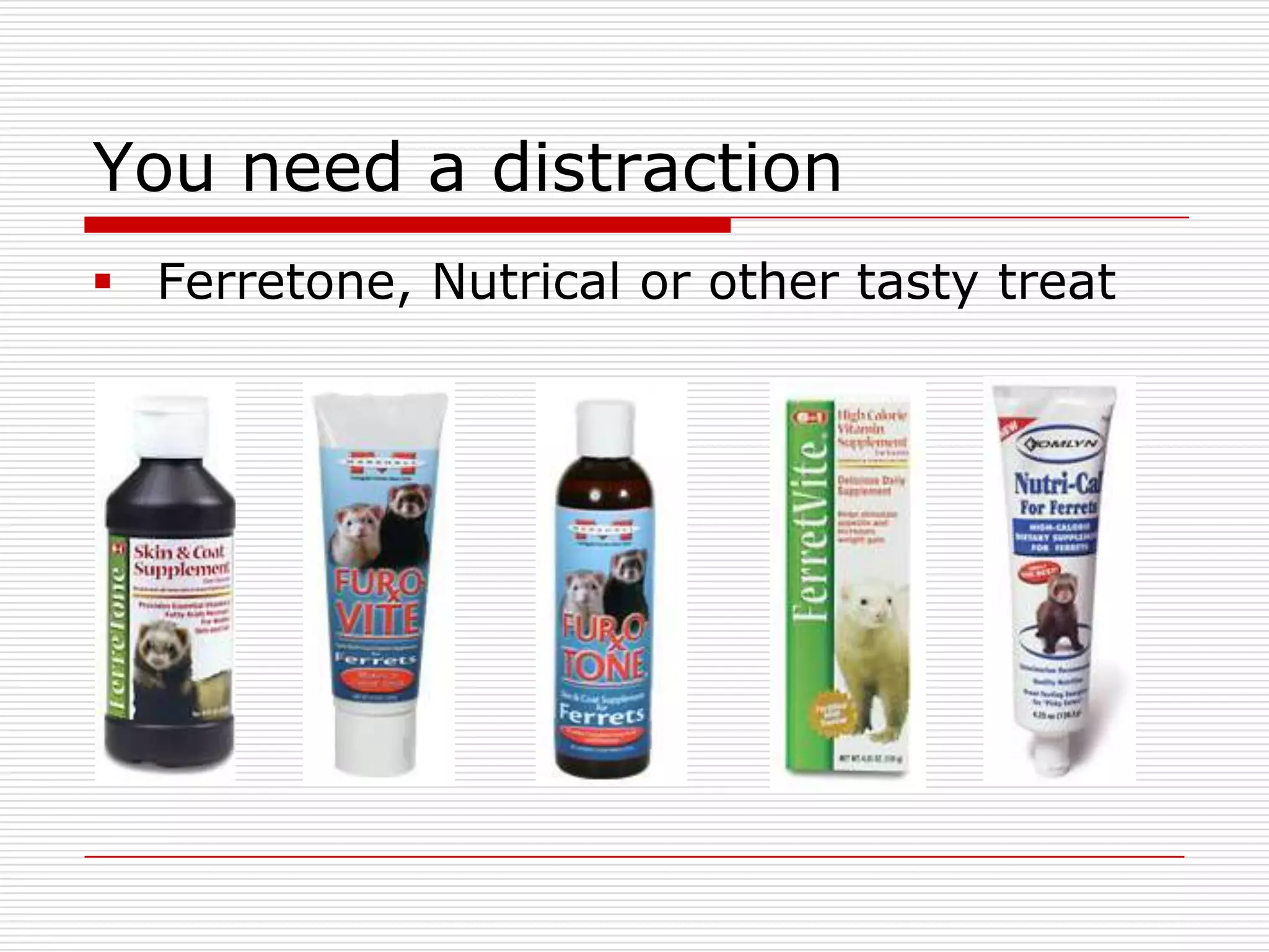 Nursing care of sick and post-surgical ferrets | PPTX