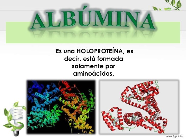 FERRITINA Y ALBUMINA