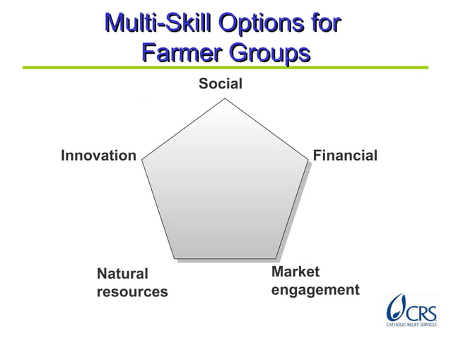 Using an Agroenterprise: Learning Alliances for Inclusive Value Chain ...