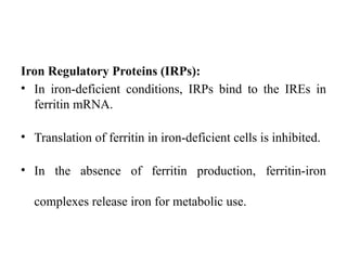 Ferritin MRNA translation regulation.pptx