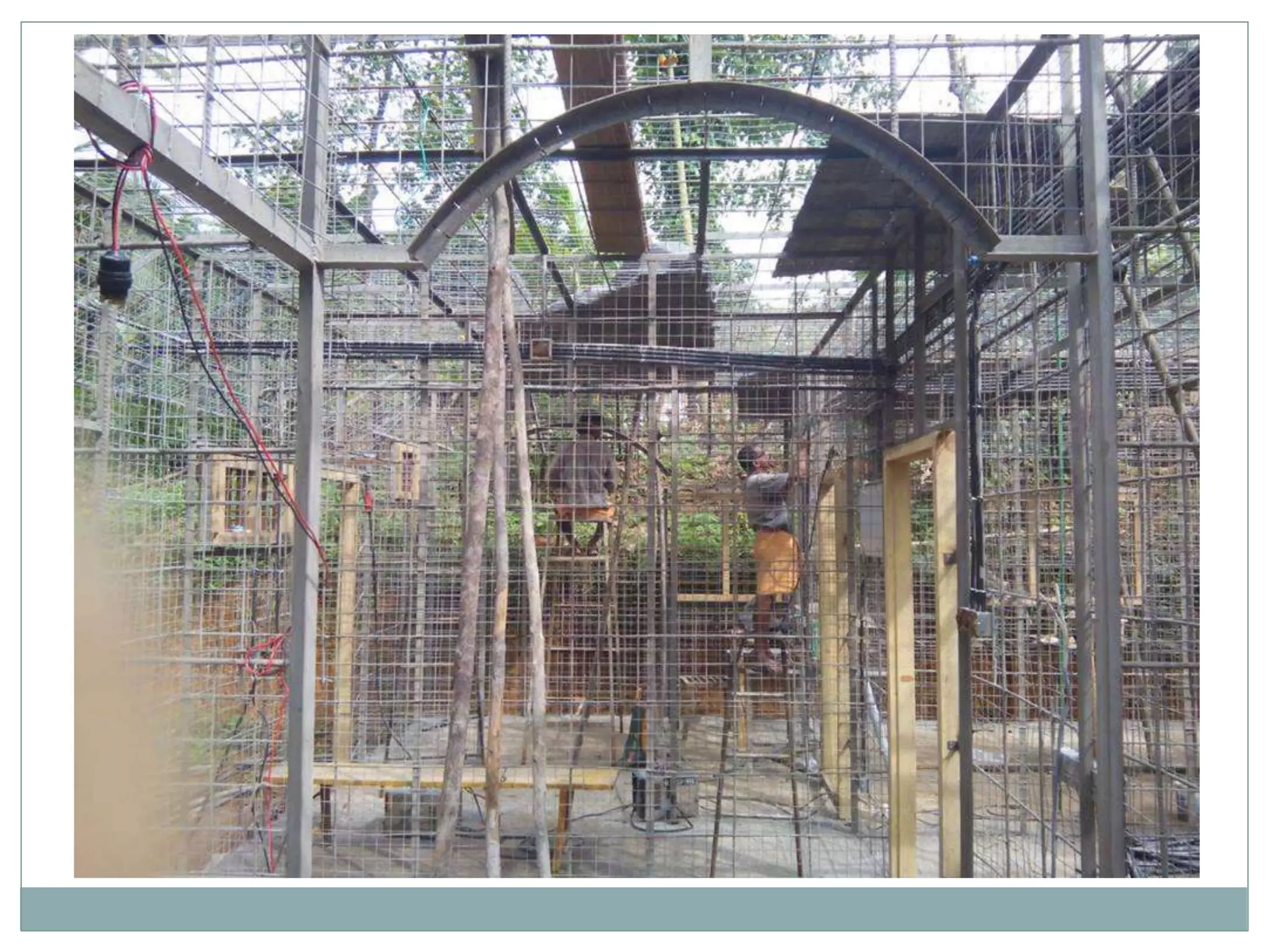 Ferrocement | PPTX