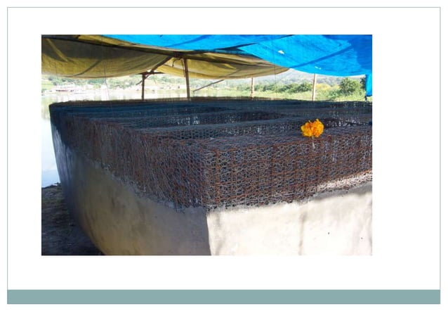 FERROCRETE - MATERIAL AND CONSTRUCTION METHODS | PPTX | Civil ...