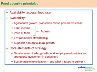 Sustainable Food Security for All: Core Elements of Strategy and Links ...